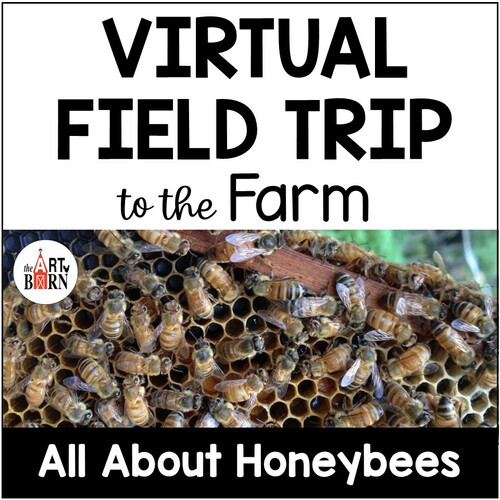 BRAND NEW for FALL '24 Virtual Farm Field Trip: All About Honeybees