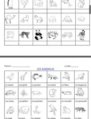 Les Animaux - French Animals COMPLETE LESSON w/notes & supporting ...