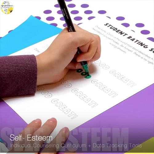 Self-Esteem Individual Counseling Curriculum + Data Tracking Tools
