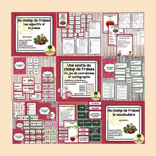 Au champ BUNDLE FRENCH science, reading, writing and grammar activities ...