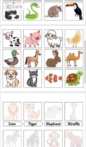 Animal Sensory Bin Cards | Farm and Zoo Animal Shadow Matching Activity