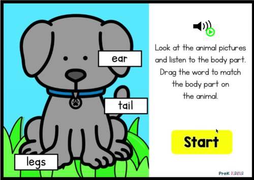 BOOM Cards: Labeling Animal Parts by PreK Partner | TpT
