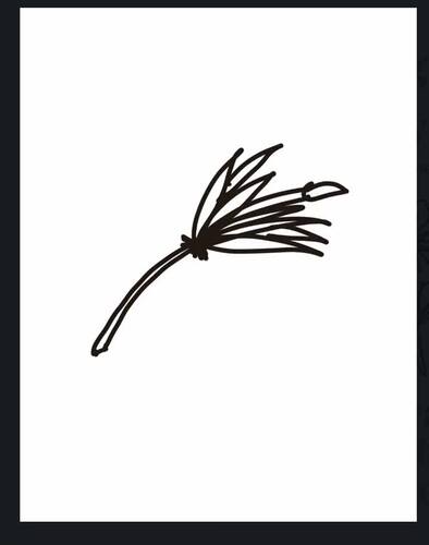 Simple Flower Coloring Sheet, Plus Lots of Bonus Pages Volume 1 | TPT