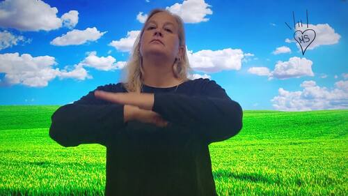 ASL Unit 7 Video 14 by Melissa Sexton | TPT
