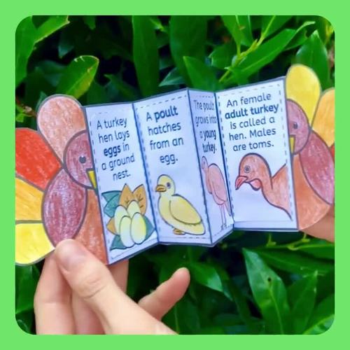 Thanksgiving life cycle foldable sequencing activities cut and paste turkey