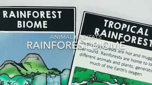 Animal Habitats The Rainforest Biome by Tech Teacher Pto3 | TPT