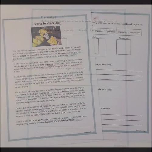 Vocabulario en contexto by Bilingual Teaching TPT | TPT