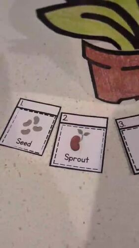 Plant Science Activities Bundle | Life Cycle, What Plants Need & Cup ...