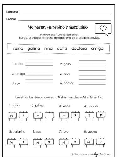 El género femenino, masculino y artículo - hojas de práctica | TPT