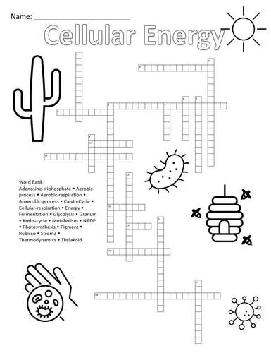 Cellular Energy Vocabulary Crossword Puzzle| Biology| Sub Plan | TPT