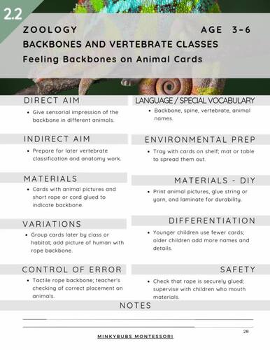 Early Years Zoology (Montessori 3–6): Backbones Vertebrates LESSON ...
