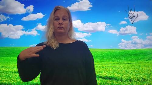 ASL Unit 7 Video 10 by Melissa Sexton | TPT