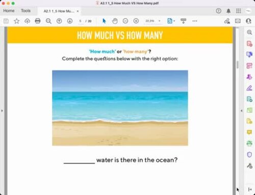 ESL Elementary Lesson: Learn When to Use 'How much' vs 'How many'