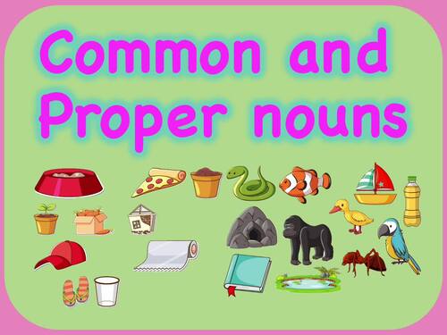 Common and Proper Nouns PowerPoint Lesson by Teacher Siska | TPT