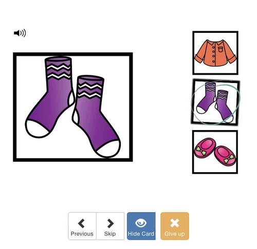 Laundry Life Skills Vocational Picture to Word Match Boom Cards 3