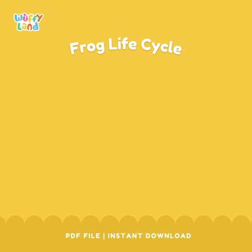 Frog Life Cycle Printable foldable Educational Science Activity Cut and ...