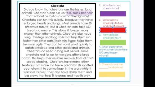 Color Coded Reading Comprehension Bundle for Google Slides | TPT