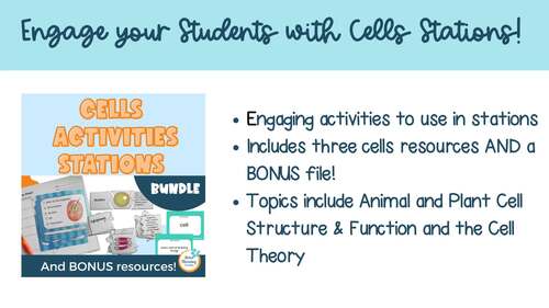 Animal & Plant Cells Activities Stations - Middle School Science -Bundle