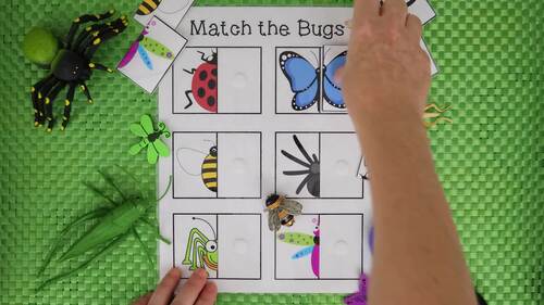 Match the Bug Halves Interactive Activity, Left and Right, Symmetry
