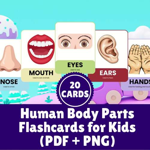 Body Parts Flashcards: Printable Human Anatomy Learning Cards for Kids