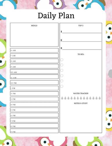 Owl Themed Teacher Printable Planner, plus Personal Meals, Budget ...