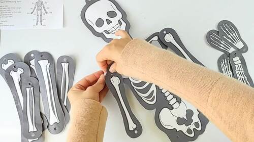 Skeletal System Craft Set, Build Skeleton Puppets for Halloween Group ...