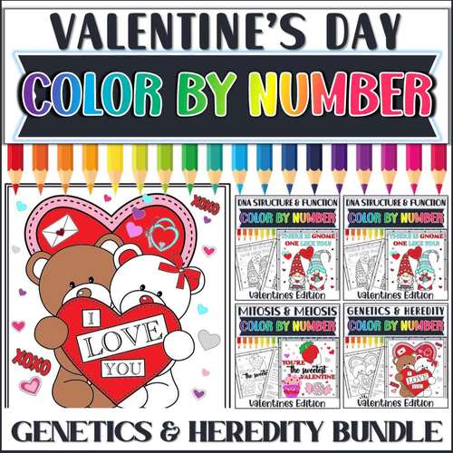 Biology Valentine's Day Color by Number Bundle-DNA | Mitosis & Meiosis ...