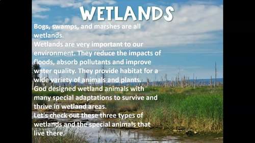 Distance Learning Wetlands and Freshwater Habitat Lesson for SeeSaw