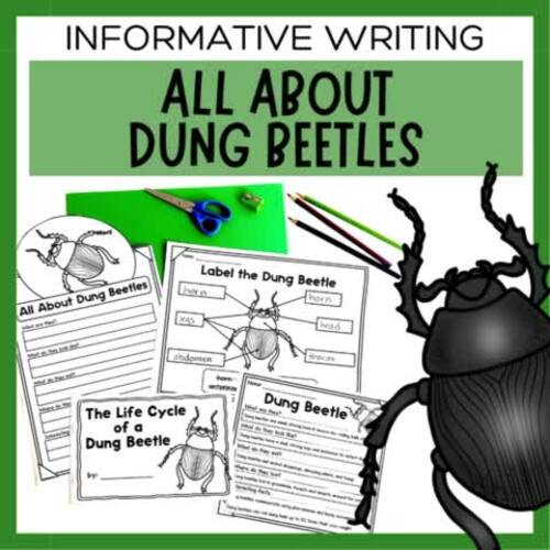 All About Dung Beetles Informational Writing | Science | Label The Dung ...