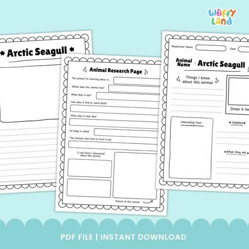 Arctic Seagull Animal Research Project | Winter Animals Science Worksheets