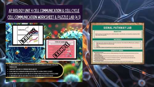 AP Biology UNIT 4 Cell Communication 4.1 Cell Puzzle Lab Escape Room Game