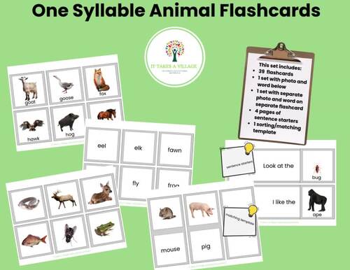One Syllable words-animals and bugs Flashcards set (11 x 8.5) -6 per page