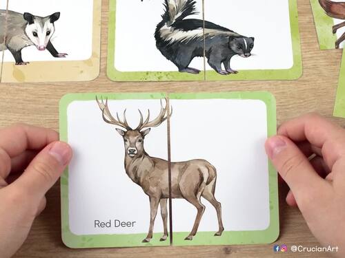 Woodland Animals Picture Puzzle Pairs | Toddler Preschool Pre-K ...