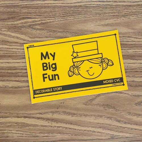 New Years Decodable Book with Word Work– Mixed CVC Practice, Decodables