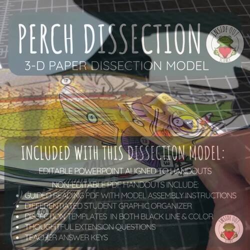 Perch Dissection Zoology | Biology 3-D Anatomy Paper Dissection Model ...