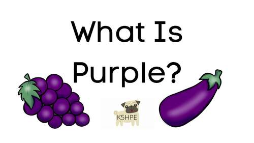 What Is Purple? Identifying Objects by Color, Video and SLIDES | TPT
