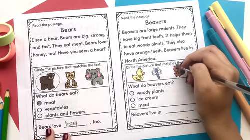 Animal Themed Reading Comprehension Passages and Questions Booklets ...