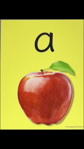 Fundations® Aligned Alphabet Charts & Letter Sound Practice-Color+B&W ...