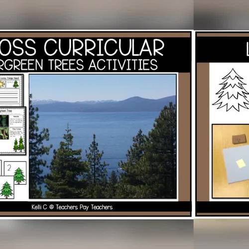 Evergreen Trees Activities and Worksheets | Christmas Tree by Kelli C