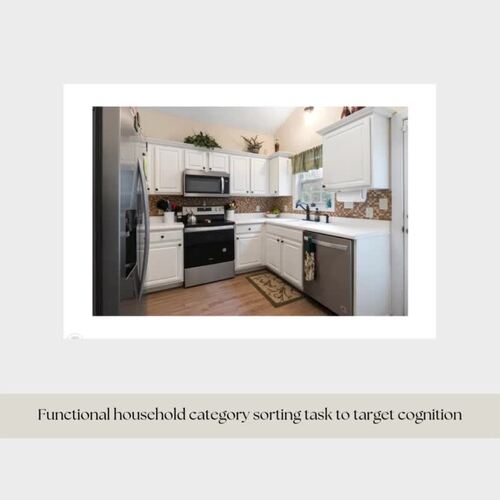 Cognitive Skills: Household Category Sorting Task by BlossomSpeechTherapy