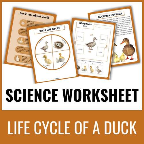 Life Cycle of a Duck Worksheet- Farm Animal Science Unit Study With Fun ...
