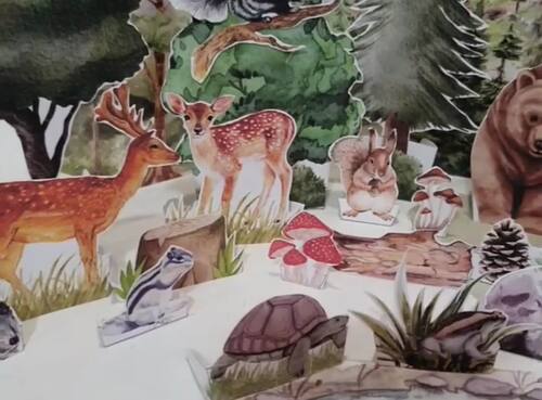 Build a Woodland, Habitat Paper Diorama, Science Project, Classroom Decor