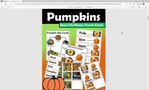 Pumpkin Life and Parts: Real Life Photos Cards, Word Wall, Posters ...