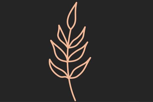 64 Modern Boho Botanicals Clipart Set 2 Design Elements - Neutral ...