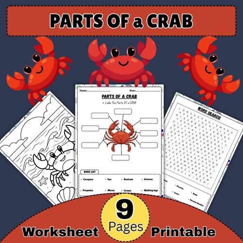 Parts Of a Crab Worksheet | Marine Animal Anatomy | Labeling Activities ...