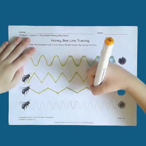 Honey Bee Line Tracing by EARTHWARD EDUCATION | TPT