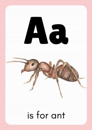 Australian Animal Alphabet Display - Pastel Tones (PDF & Editable Canva ...