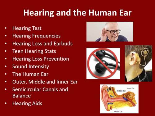 Hearing and the Human Ear - Physics and Biology Lesson Package | TpT