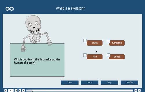 Skeletons and their functions Interactive Primary Science Lesson and ...