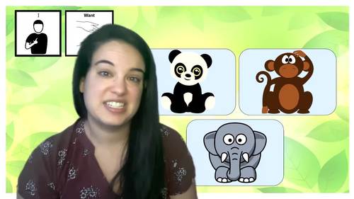 Wild Animal Dress Up: Green Screen Virtual Background Activity by ...